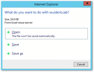 WSUS Test URL for Windows Server Update Services